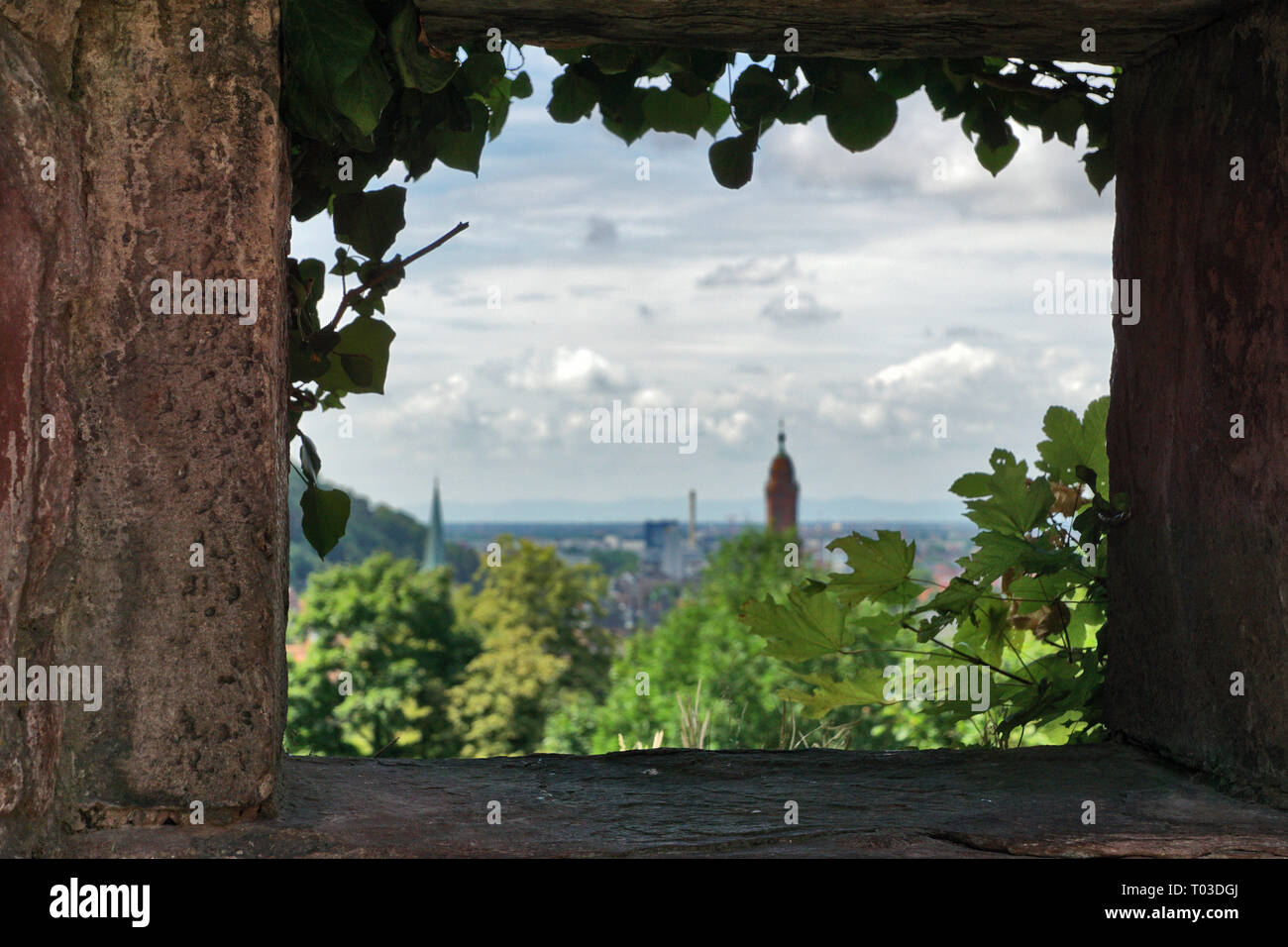 Heidelberg view from castle hi-res stock photography and images - Alamy