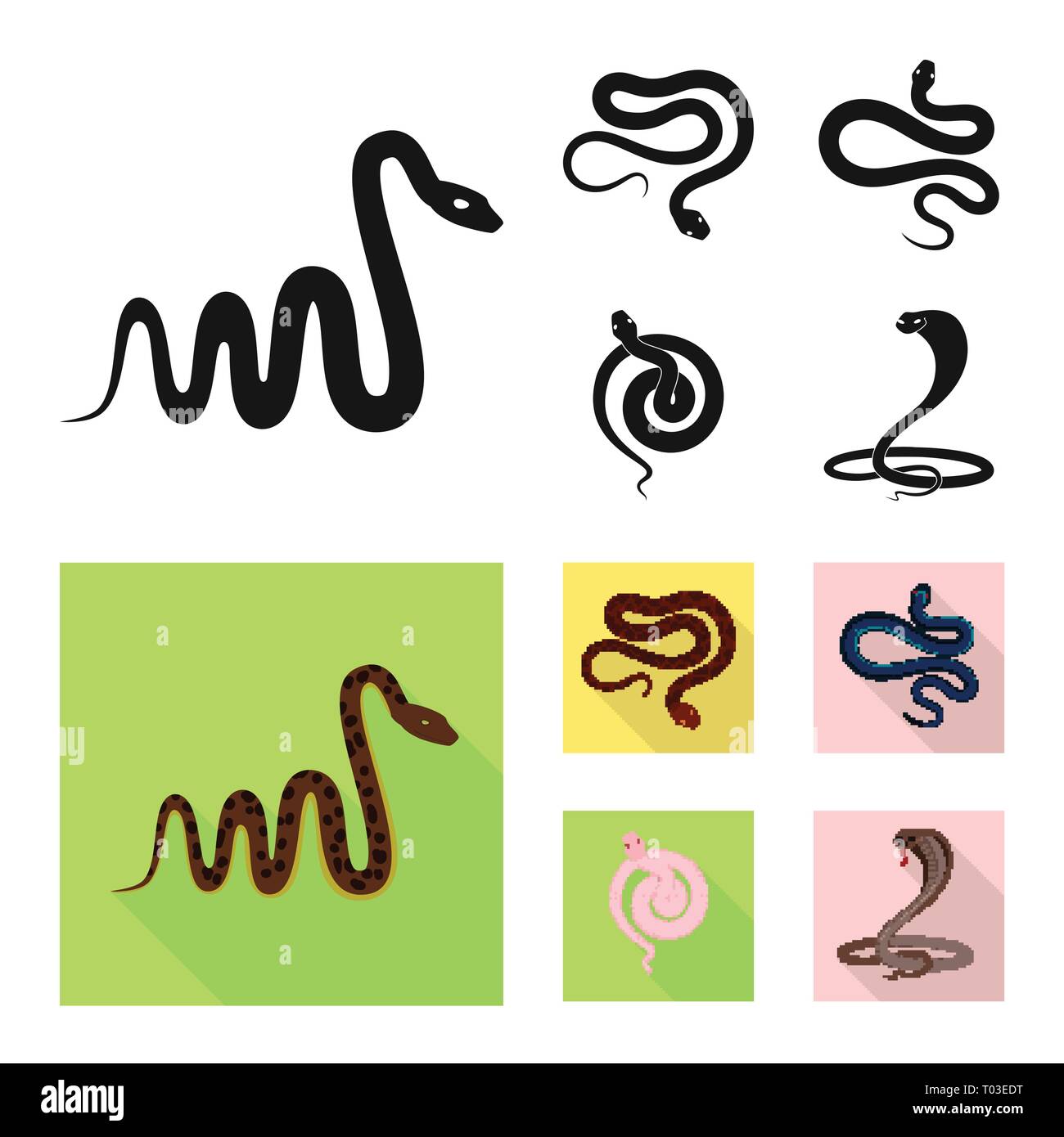snake,viper,amphibian,cobra,python,anaconda,white,tail,jungle,forest ...