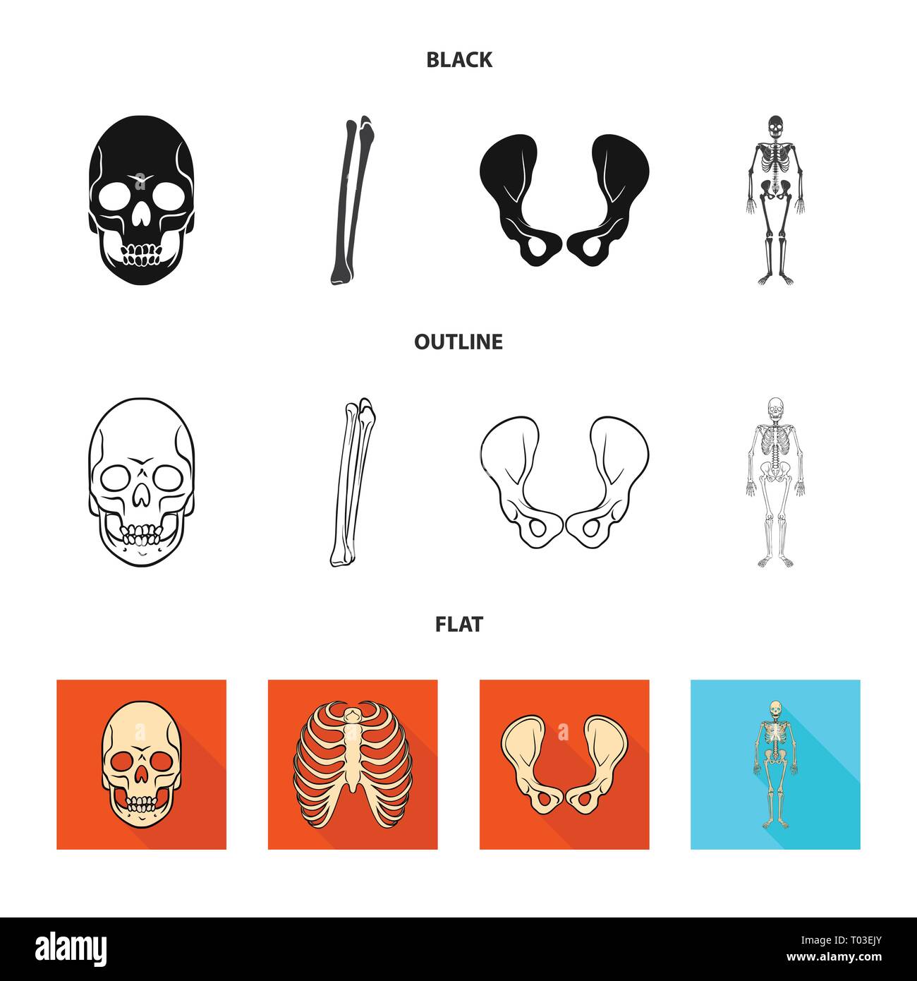 skull,femur,hip,musculoskeletal,death,joint,scientific,monster,leg ...