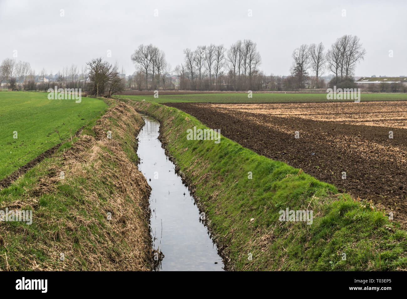 View over the plowed land of the sugar beet fields in late winter ...