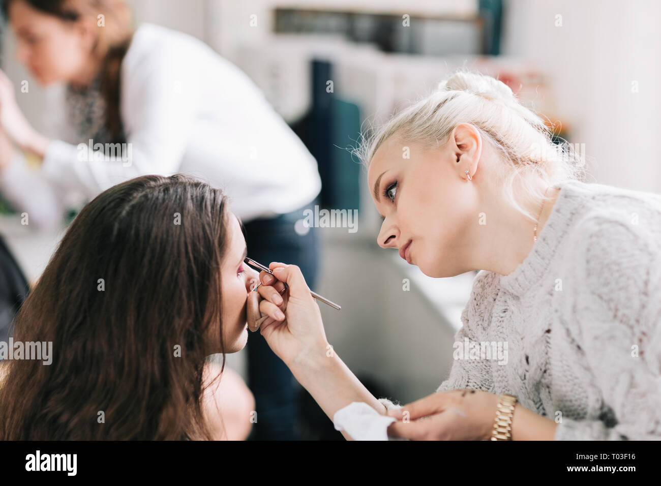 professional makeup artist makes makeup for a young woman Stock Photo ...