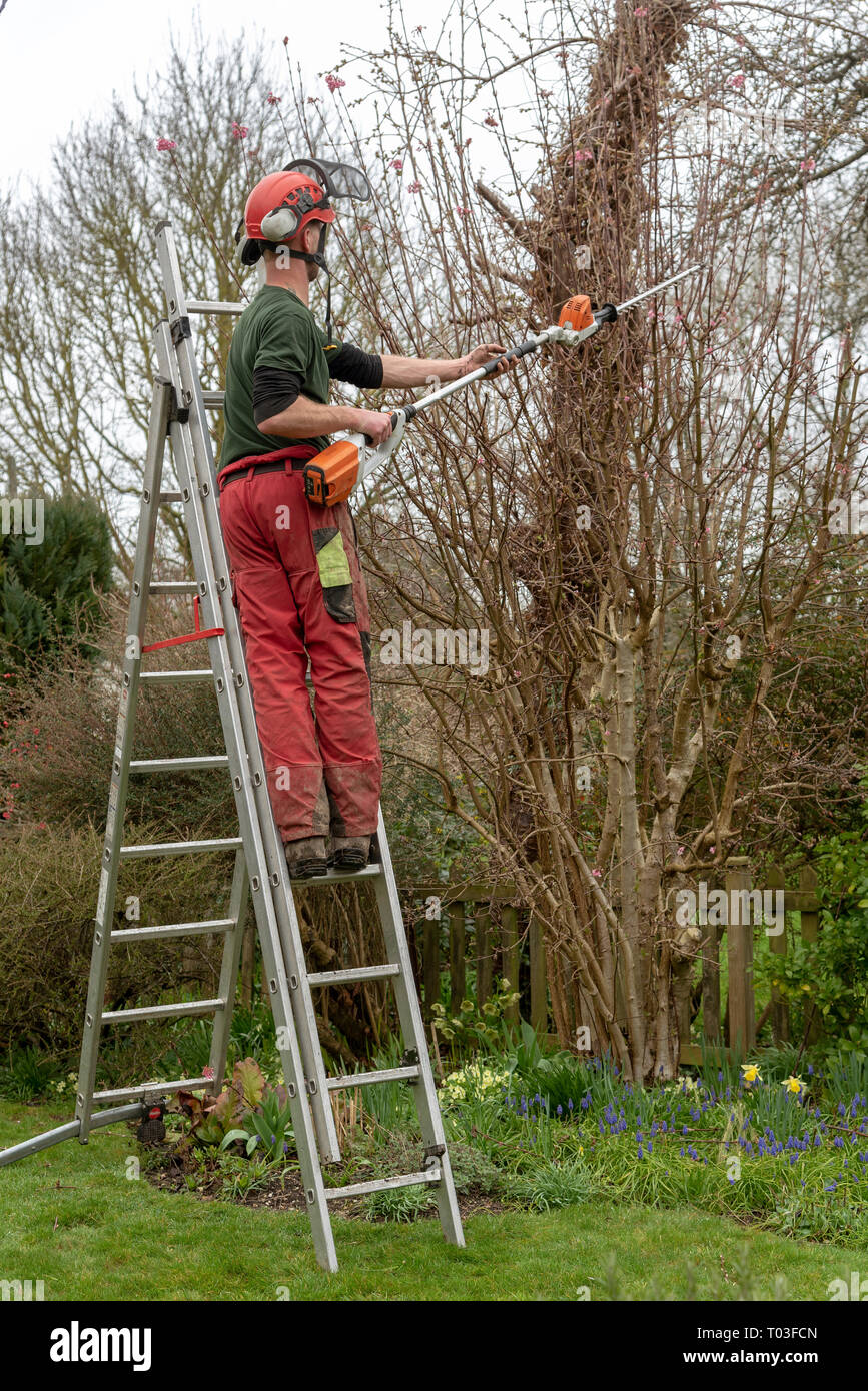 Pruning garden ladder hi-res stock photography and images - Alamy