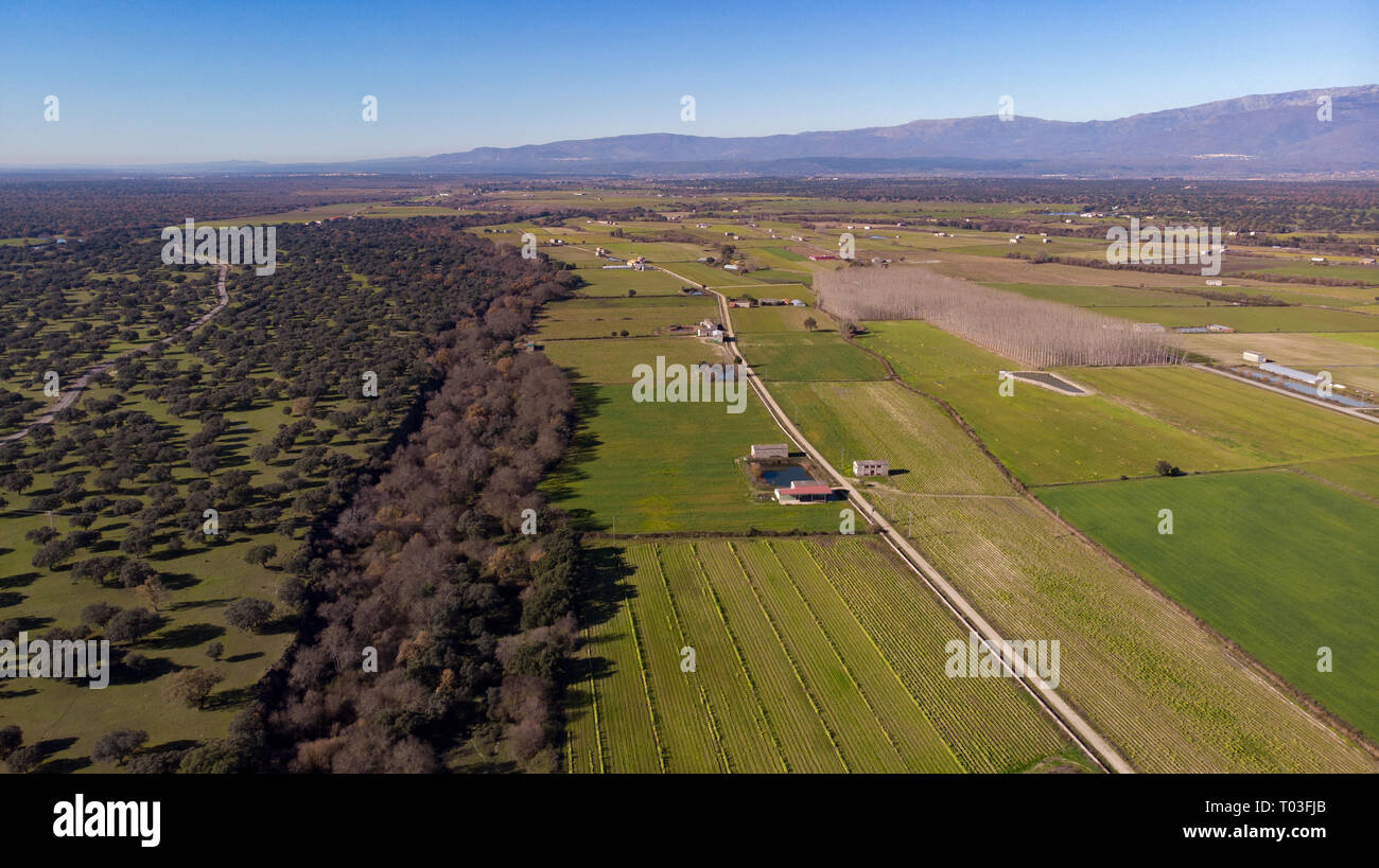 Aerial view of harvest fields under the blue sky Stock Photo - Alamy