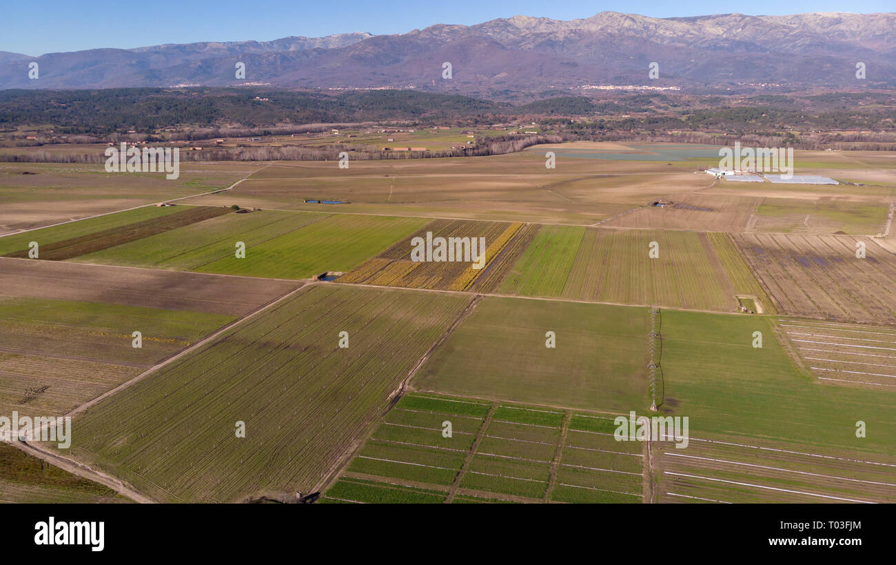 Aerial view of harvest fields under the blue sky Stock Photo - Alamy