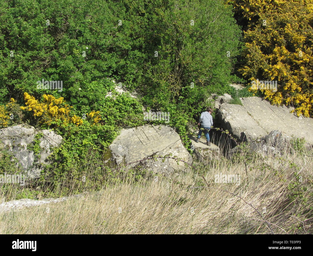 boy running to bomb craters WW2 France Normandy Stock Photo - Alamy