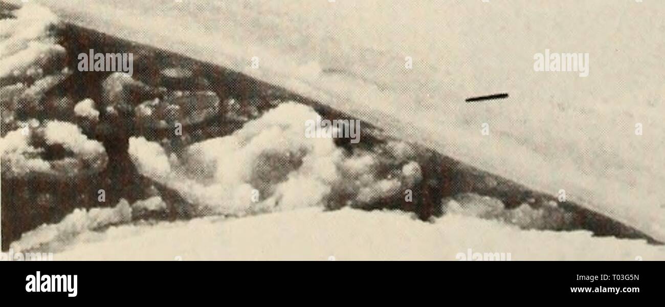 The Eastern Bering Sea Shelf : oceanography and resources / edited by ...