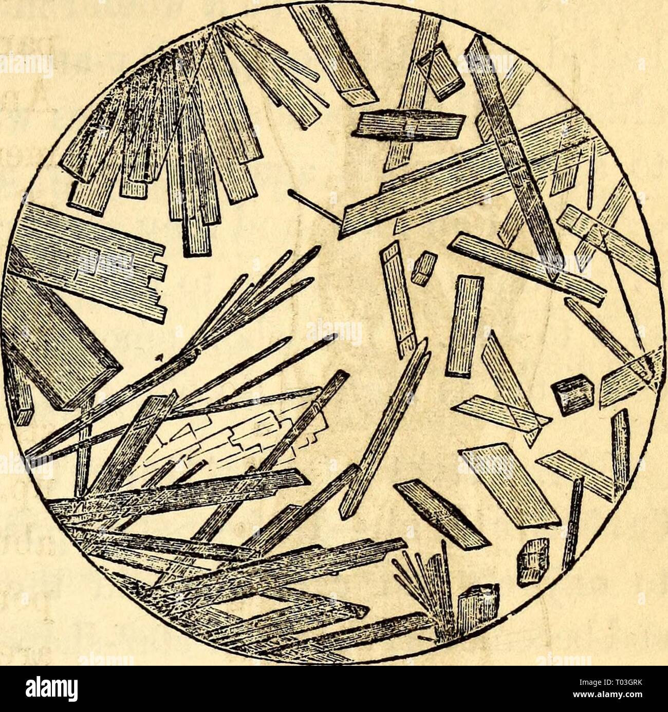 Every circular body hi-res stock photography and images - Alamy