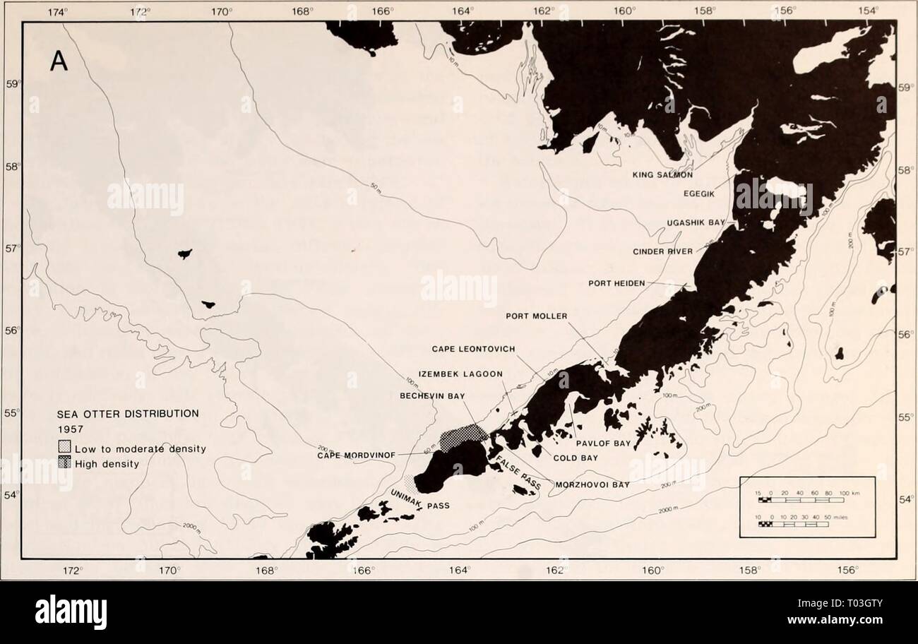 The Eastern Bering Sea Shelf : oceanography and resources / edited by ...