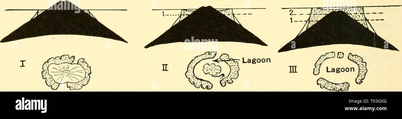 Ecological animal geography; an authorized Stock Photo - Alamy