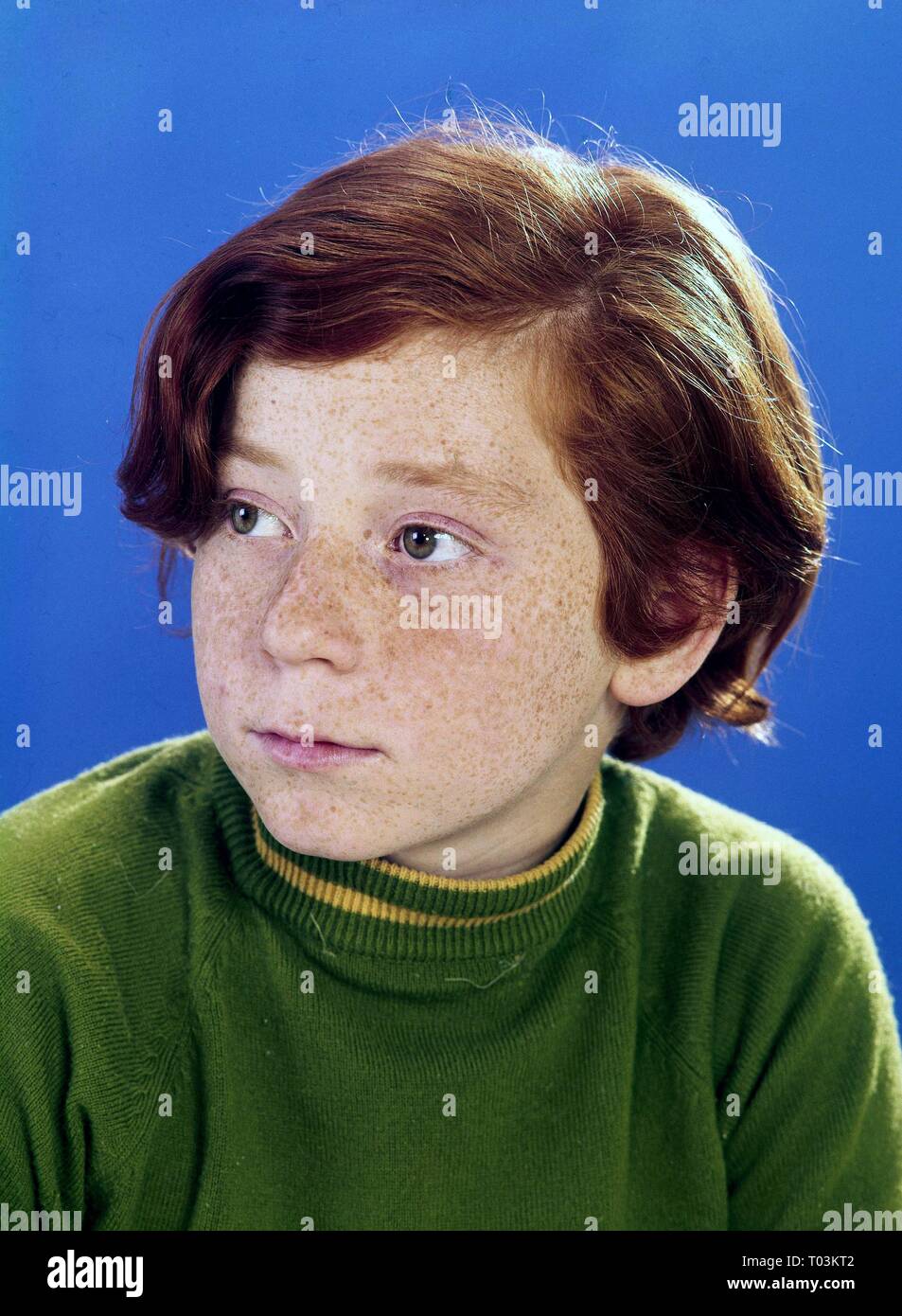 The partridge family hi-res stock photography and images - Alamy