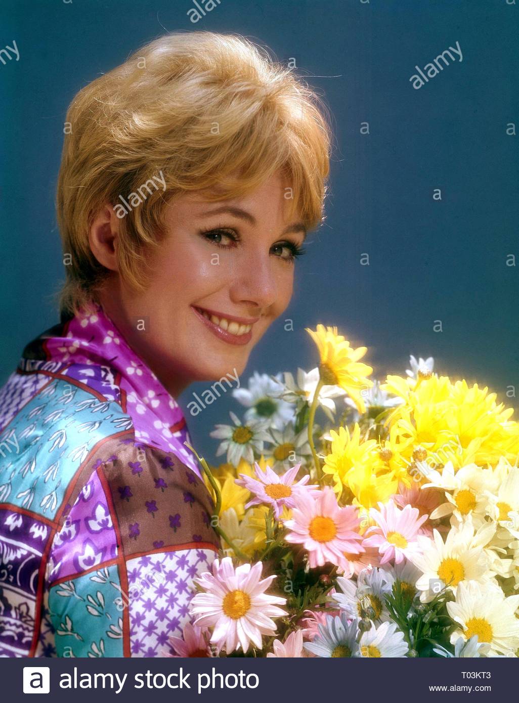 Shirley Renfrew Partridge High Resolution Stock Photography and Images ...