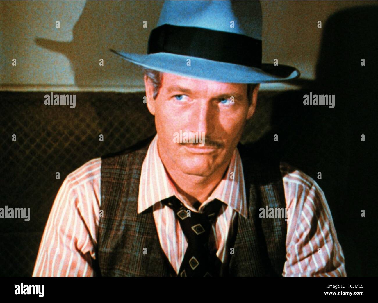 The sting newman hi-res stock photography and images - Alamy