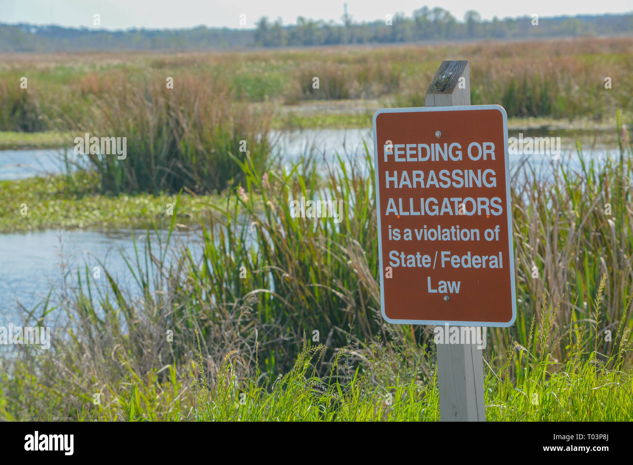 Alligator warning sign at Savannah National Wildlife Refuge in ...