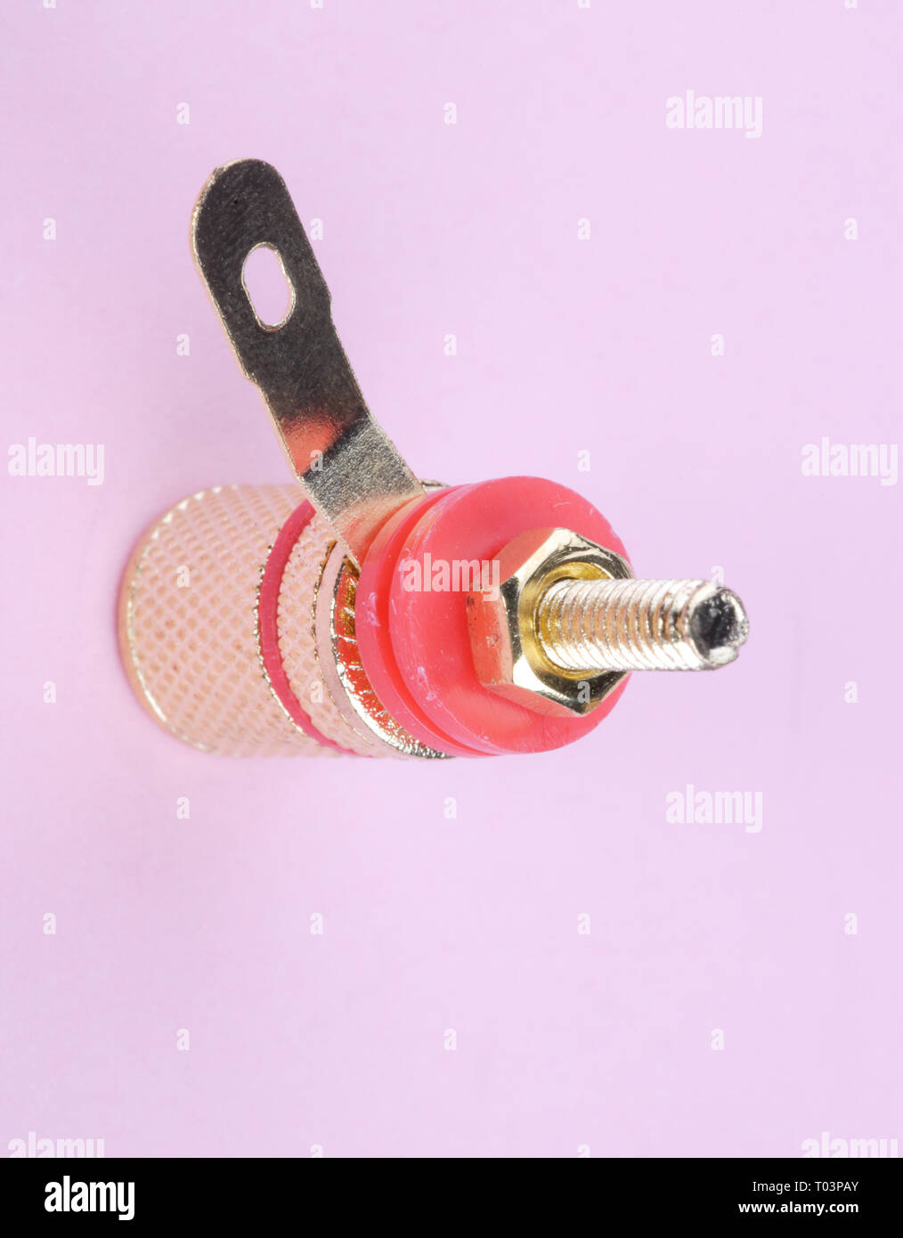 Speaker connector on pink background Stock Photo - Alamy