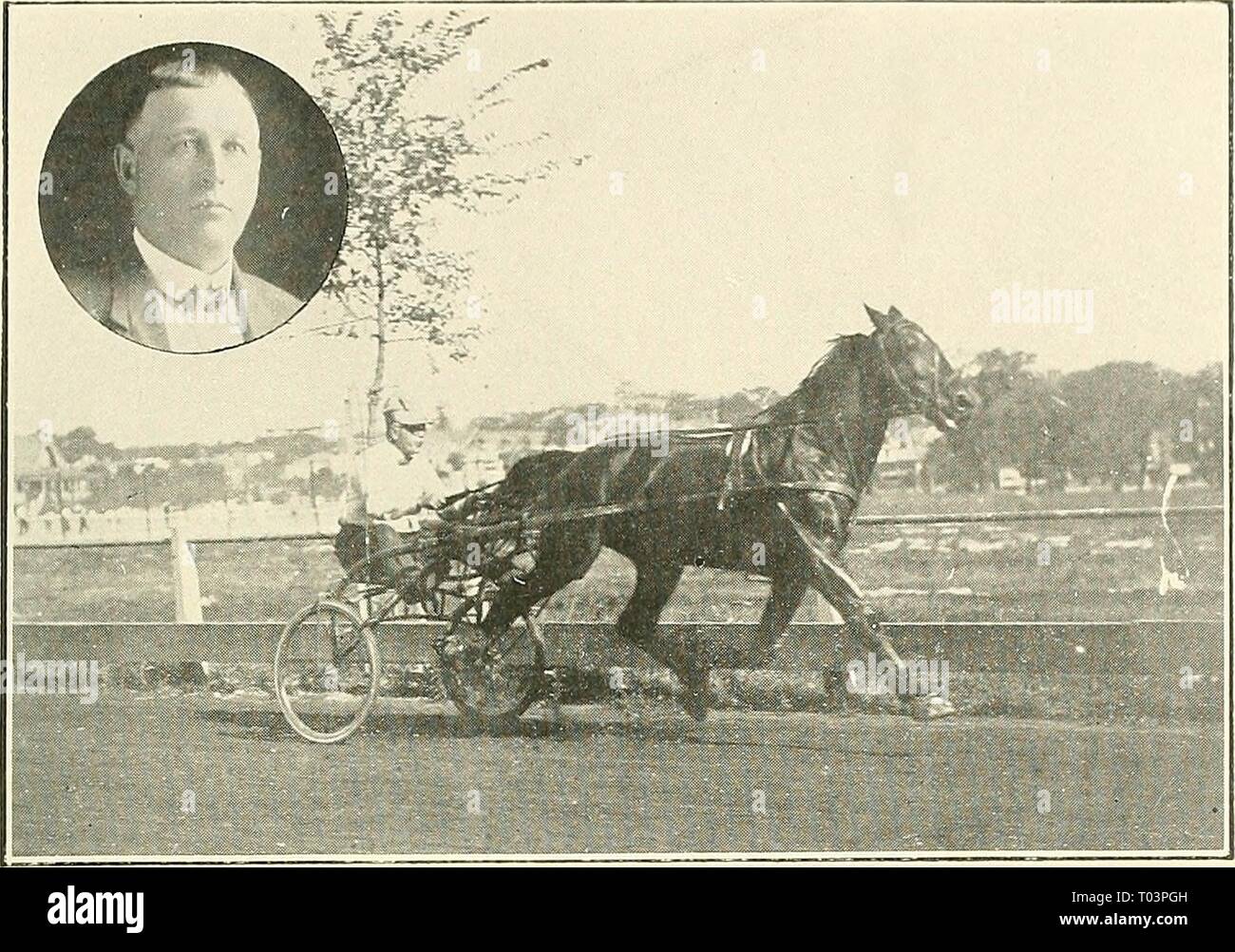 The driving clubs of greater Stock Photo - Alamy