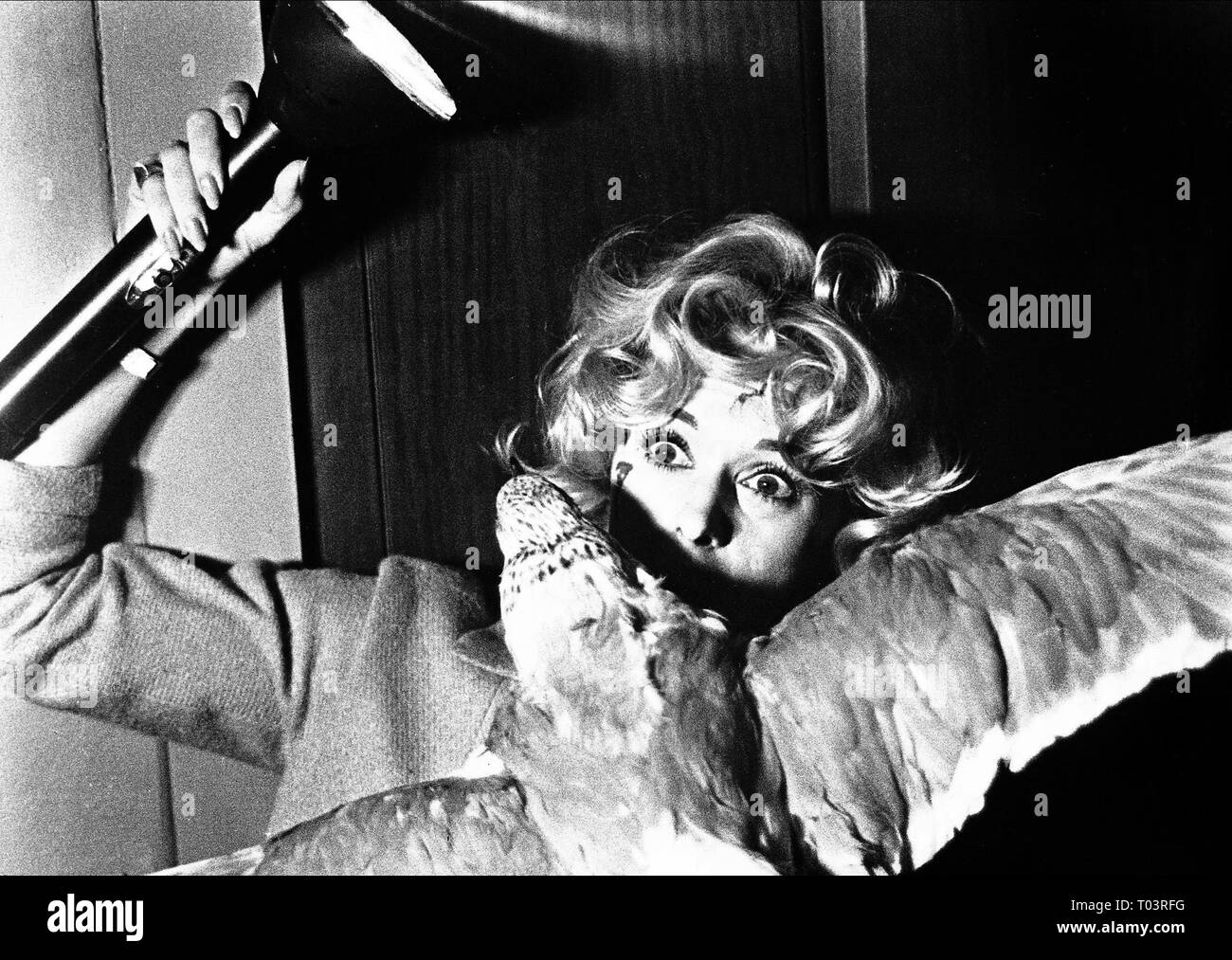 The birds film hitchcock Black and White Stock Photos & Images - Alamy