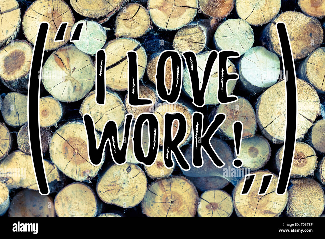 Text sign showing I Love Work. Business photo text To be happy ...