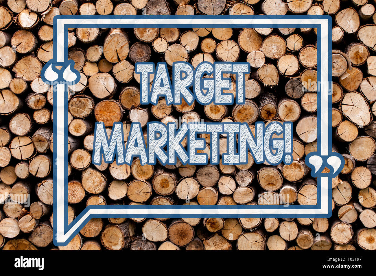 Handwriting Text Writing Target Marketing Conceptual Photo Market Segmentation Audience
