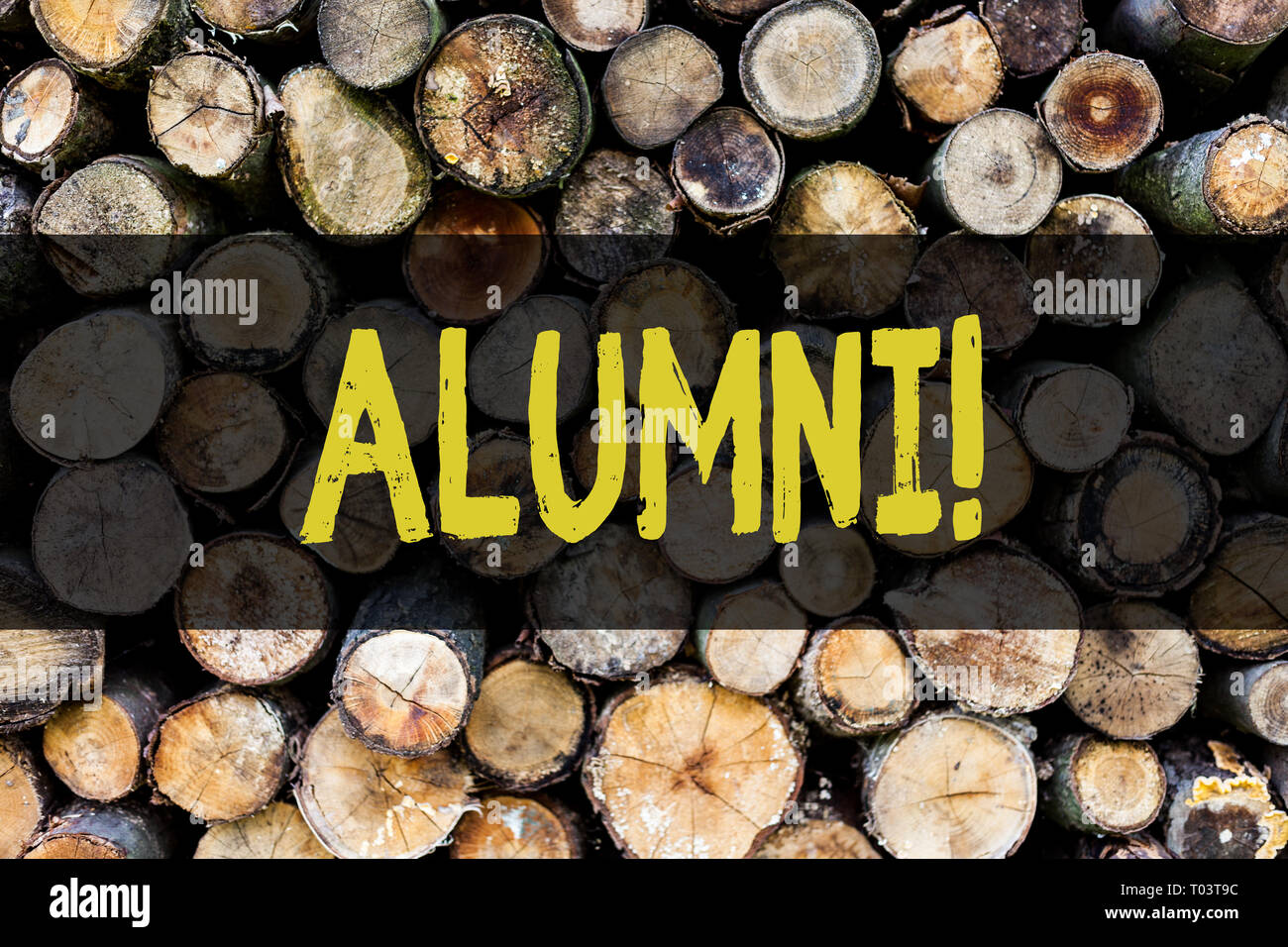 Vintage photo classmates college hi-res stock photography and images ...