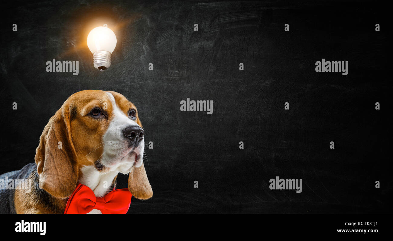 Your smart friend. Mixed media Stock Photo - Alamy