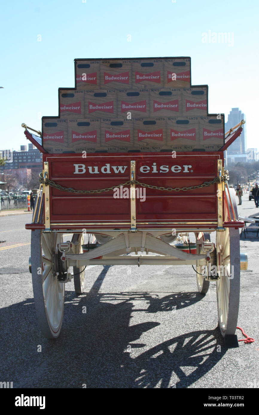 Cold Bud Here!! Stock Photo - Alamy