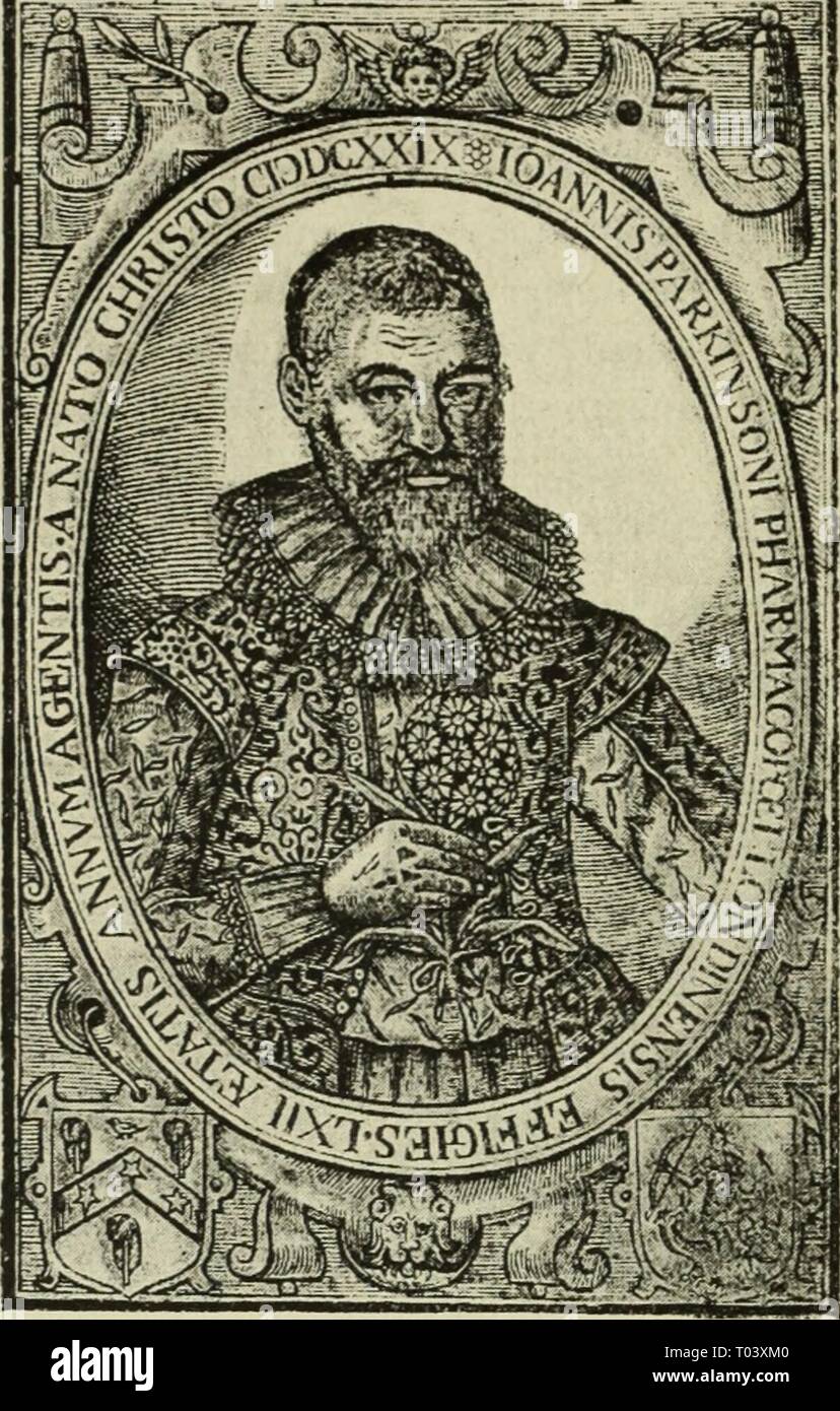 Early British botanists and their Stock Photo - Alamy