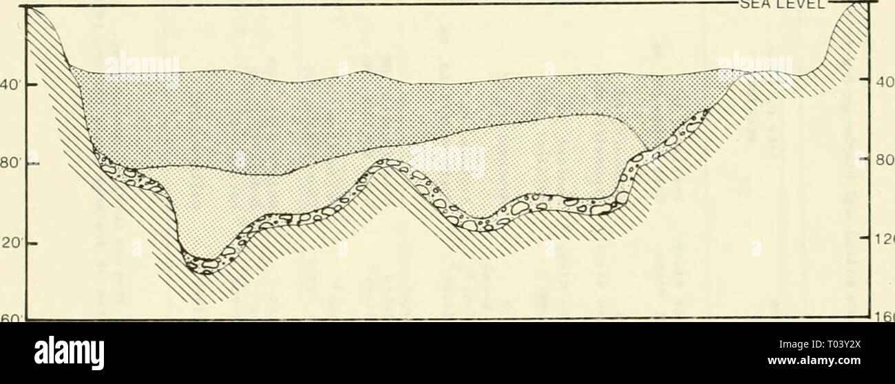 Riverine deposits hi-res stock photography and images - Alamy