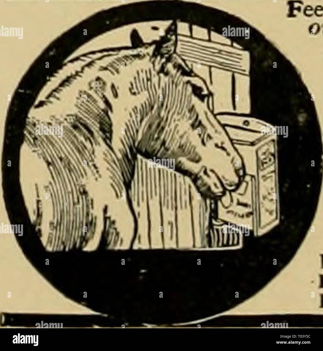 The driving clubs of greater Boston . drivingclubsofgr00linn Year: 1914 ...