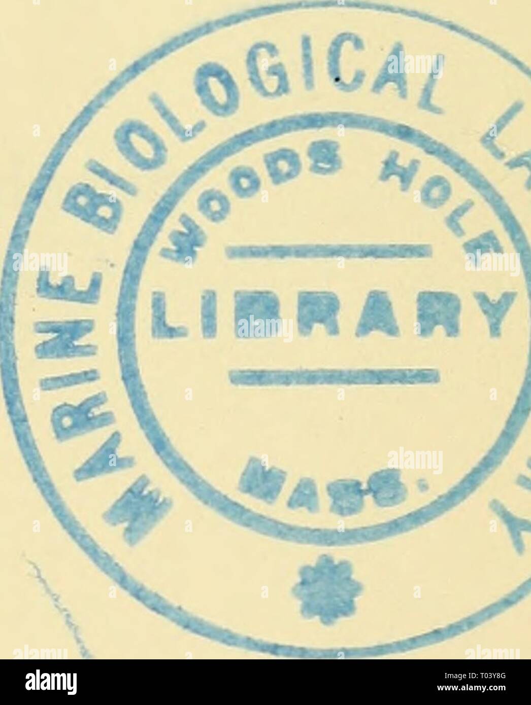 Ochromonas hi-res stock photography and images - Alamy