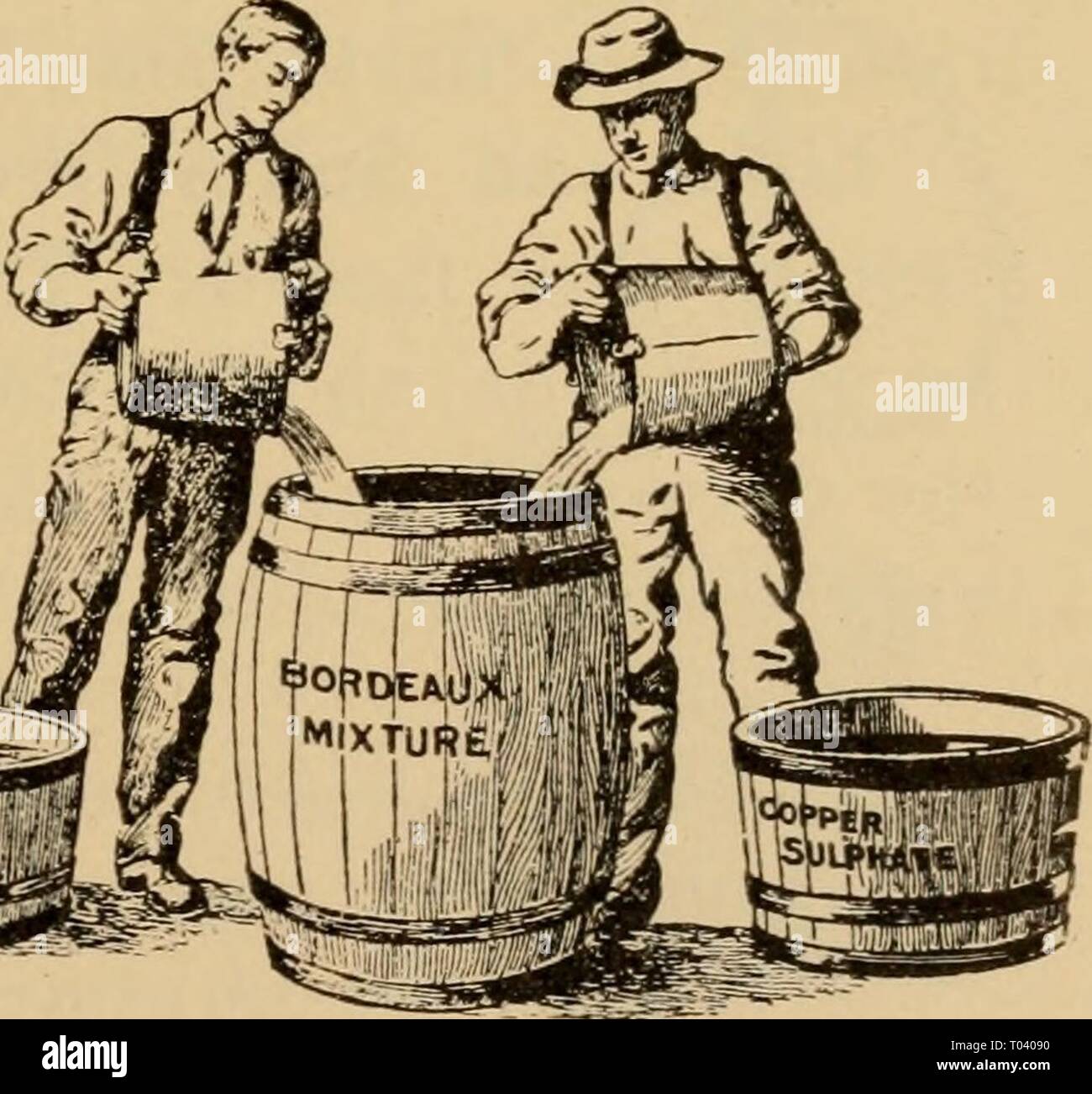 Elementary principles of agriculture; a text book for the common ...