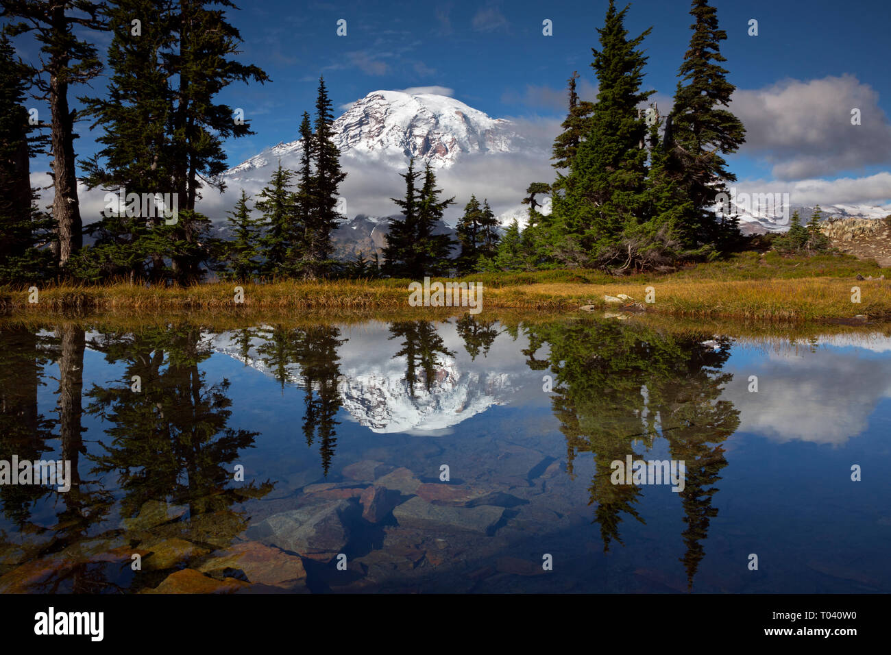 Bench lake mount rainier hi-res stock photography and images - Alamy
