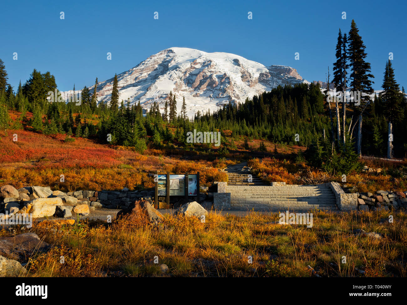 Mount rainier national park autumn hi-res stock photography and images ...