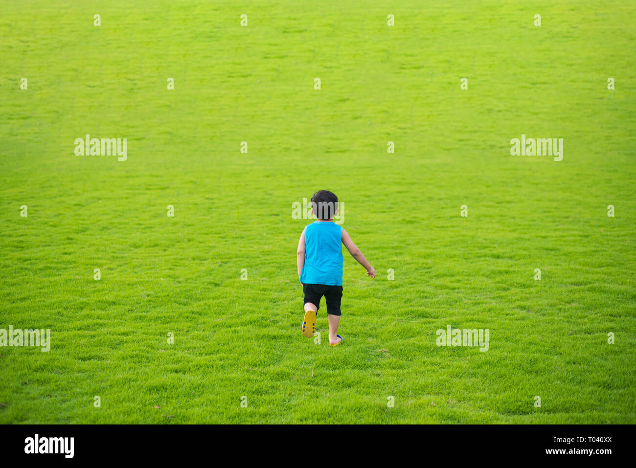 Little child boy running forward in the big green grass field summer ...