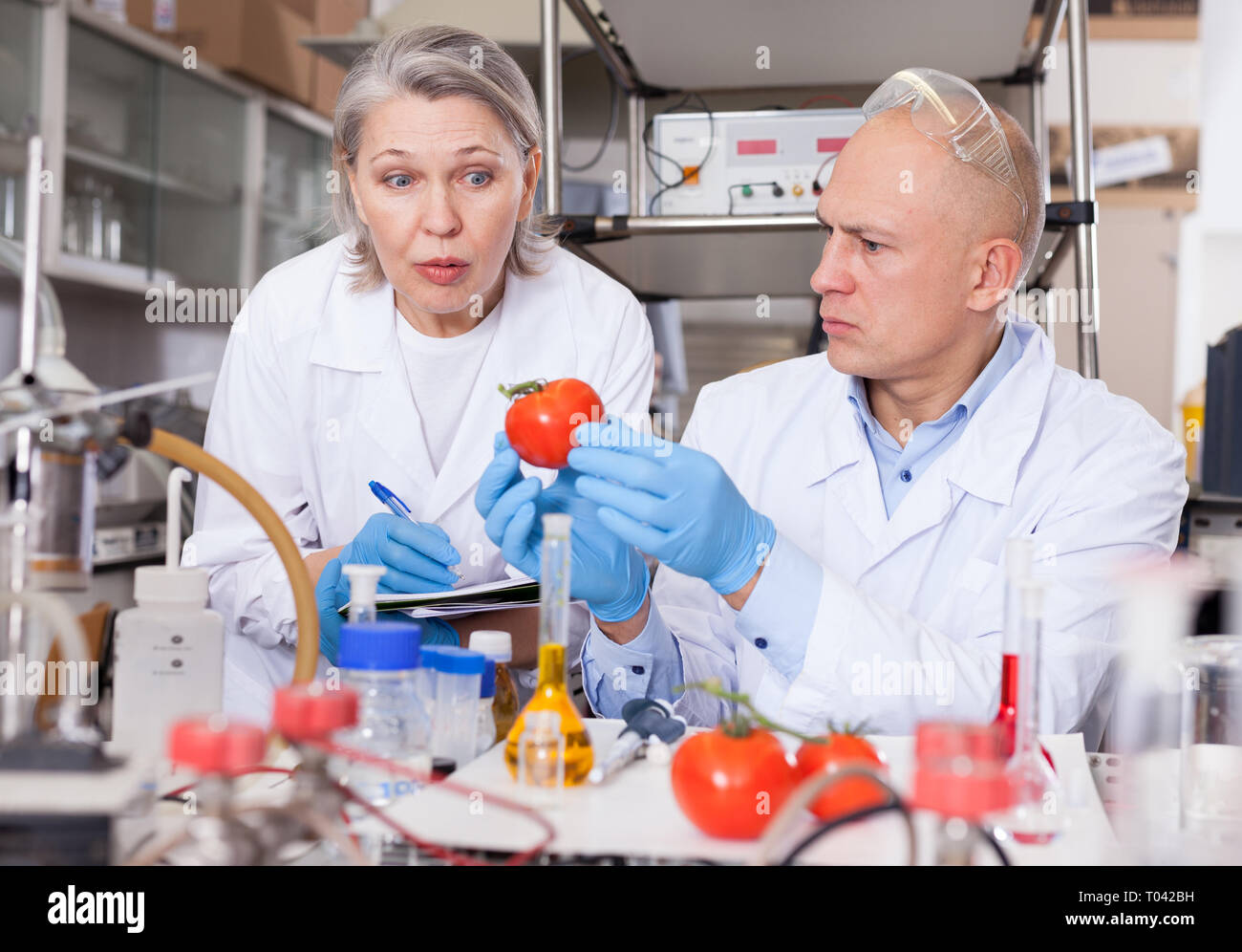 Two professional genetic scientists working in laboratory, taking notes ...