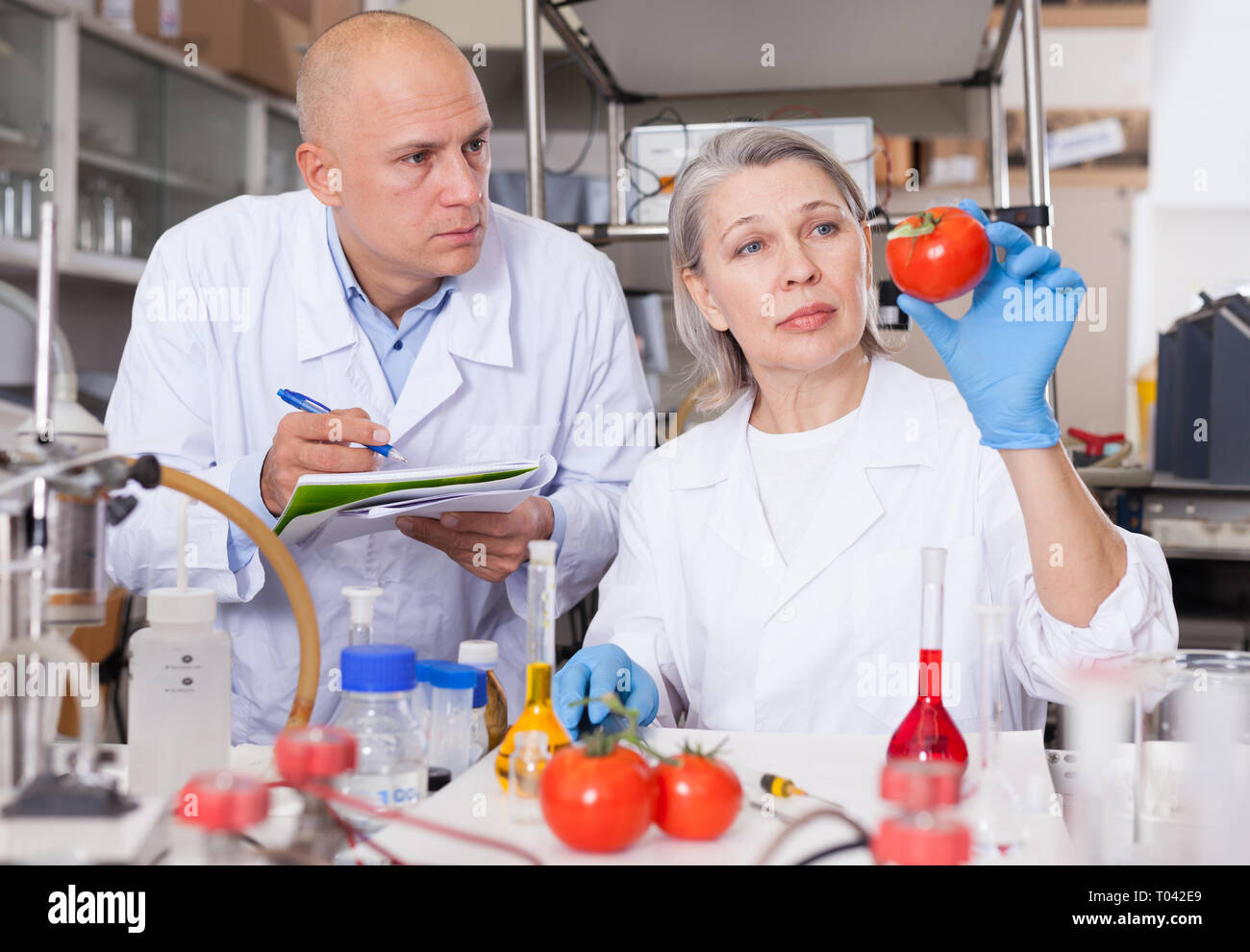 Two professional genetic scientists working in laboratory, taking notes ...