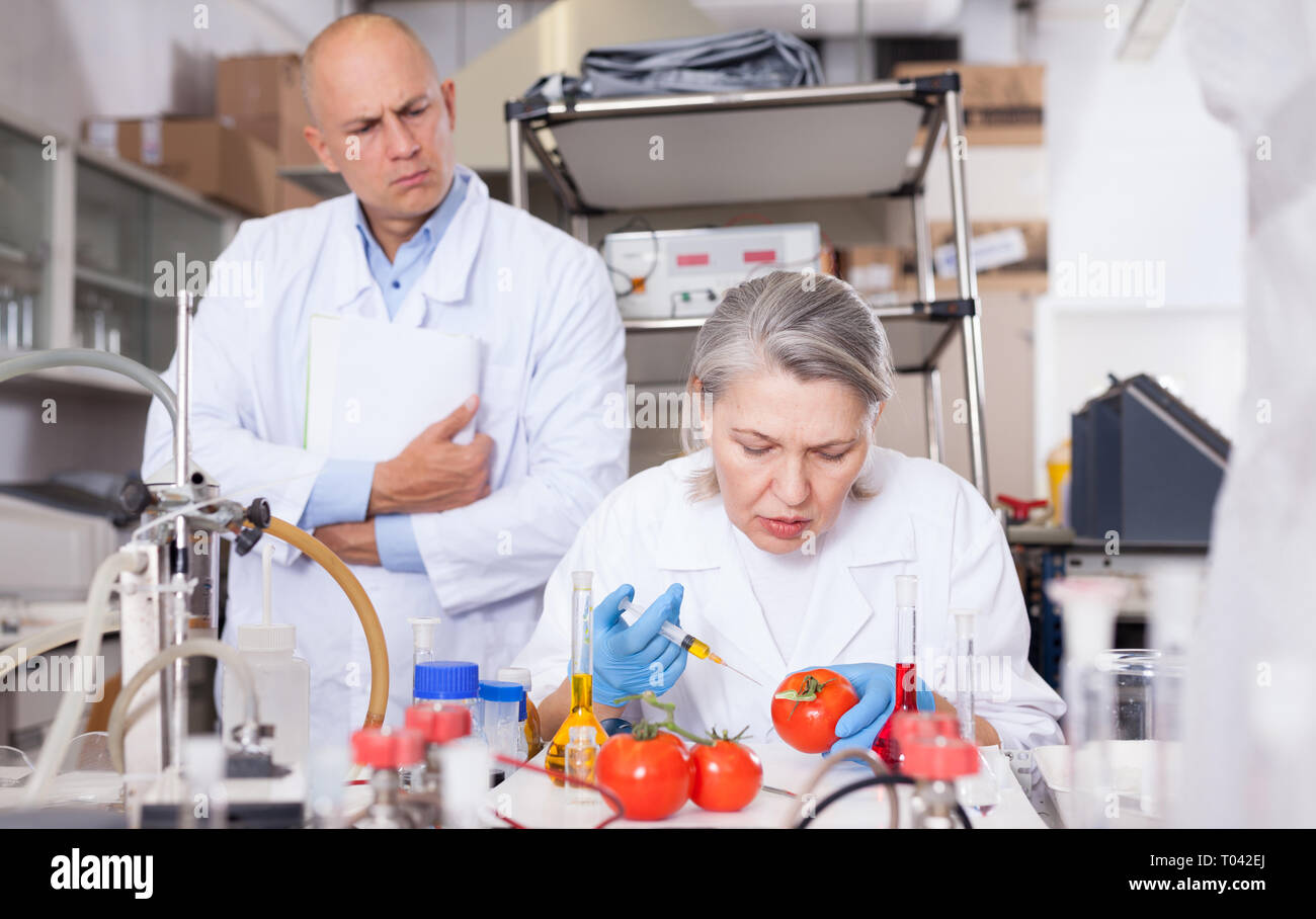 Two professional genetic scientists working in laboratory, injecting ...