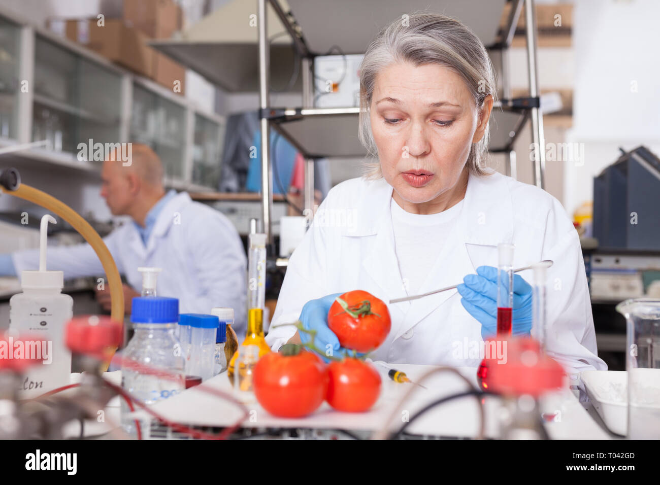 Professional female geneticist working in laboratory, conducting ...