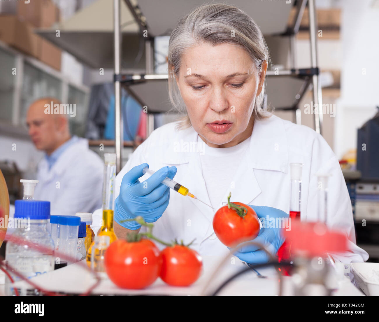 Professional female geneticist working in laboratory, injecting ...