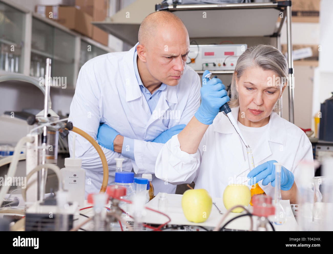Two professional genetic scientists working in laboratory, performing ...