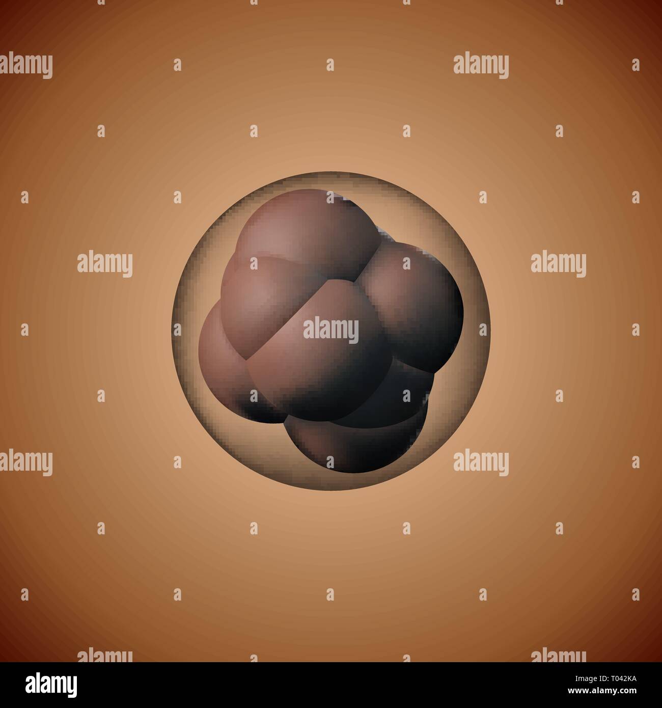 The development of the egg. Vector illustration. Pregnancy and embryo ...