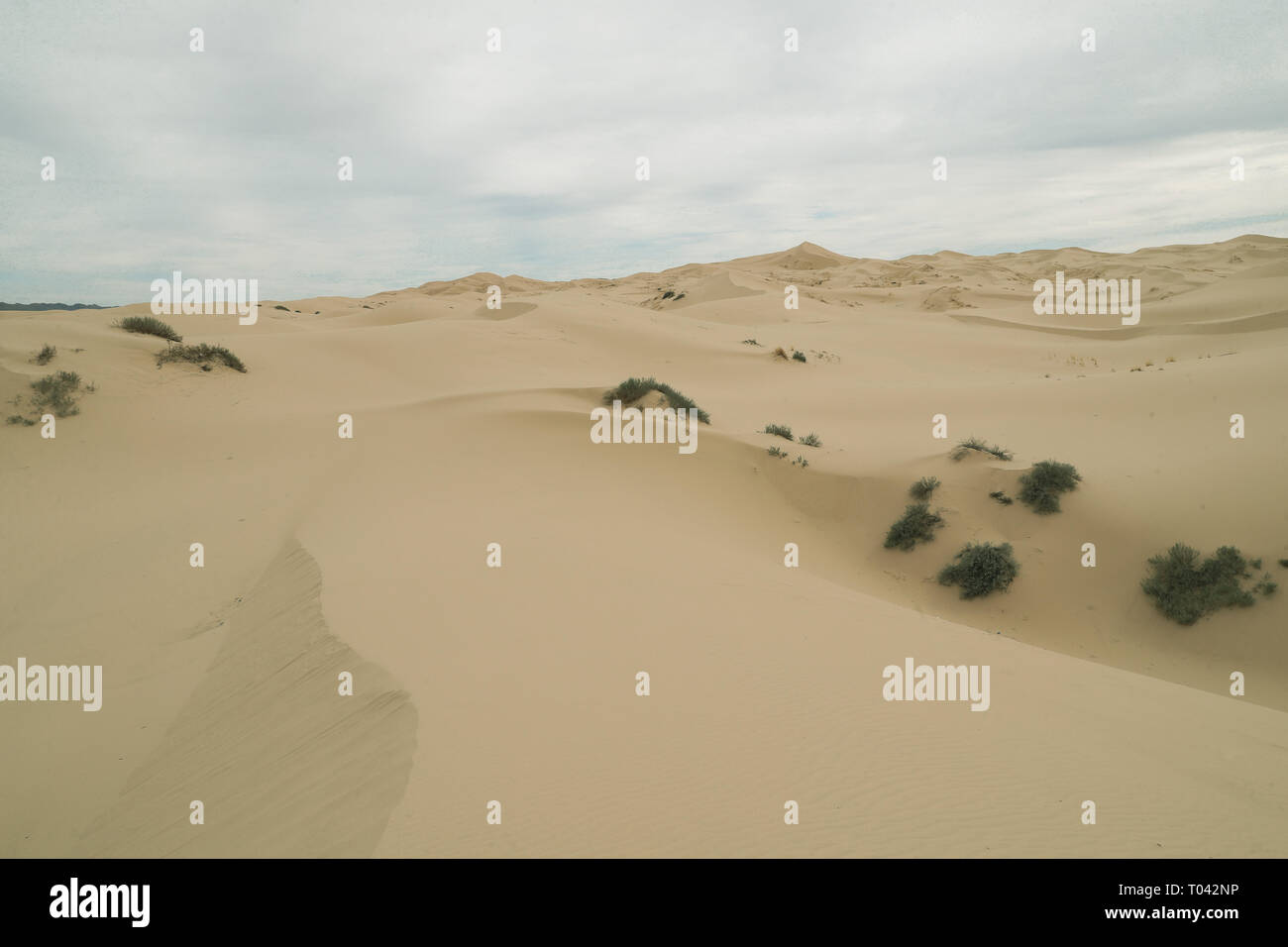 Desierto de samalayuca hi-res stock photography and images - Alamy