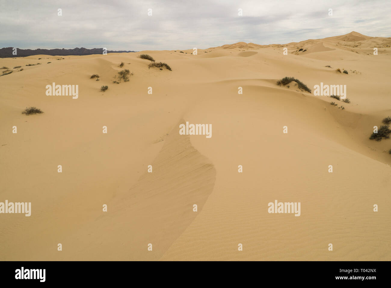 Desierto de samalayuca hi-res stock photography and images - Alamy