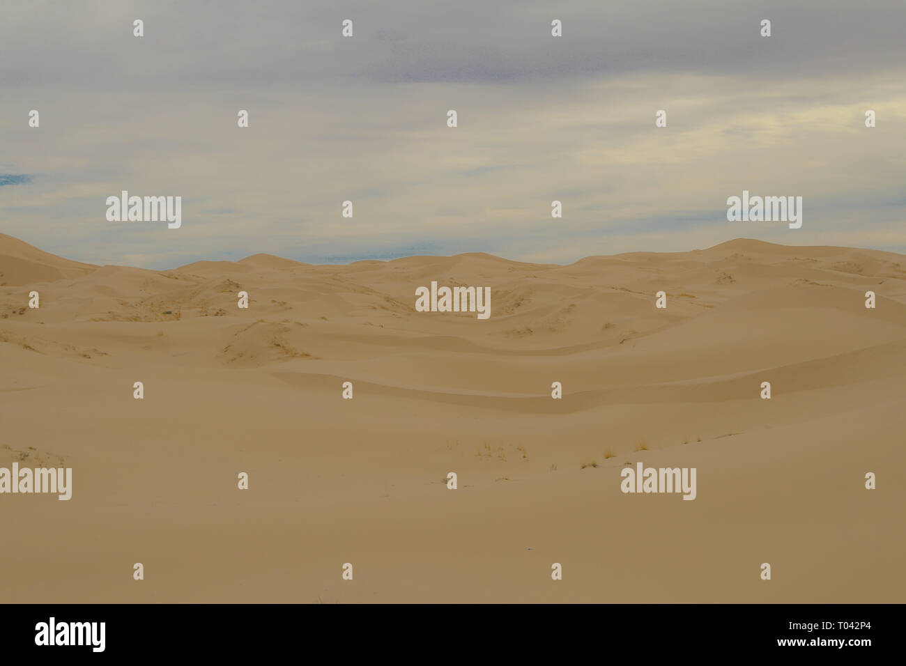 Desierto al este hi-res stock photography and images - Alamy