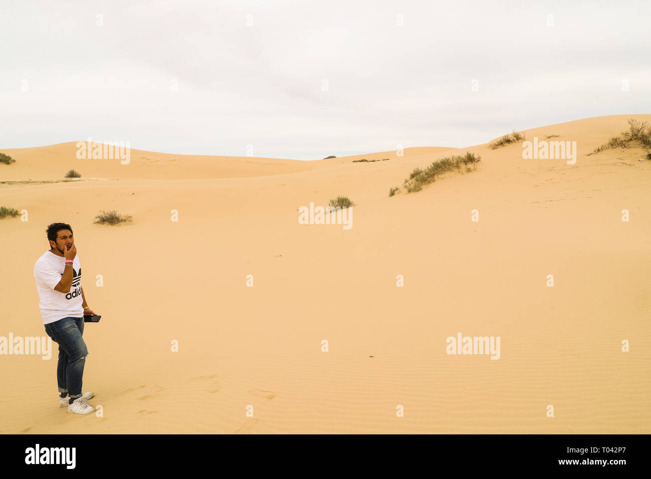 sand dunes of the Samalayuca desert, Chihuahua Mexico. 52 km south of ...