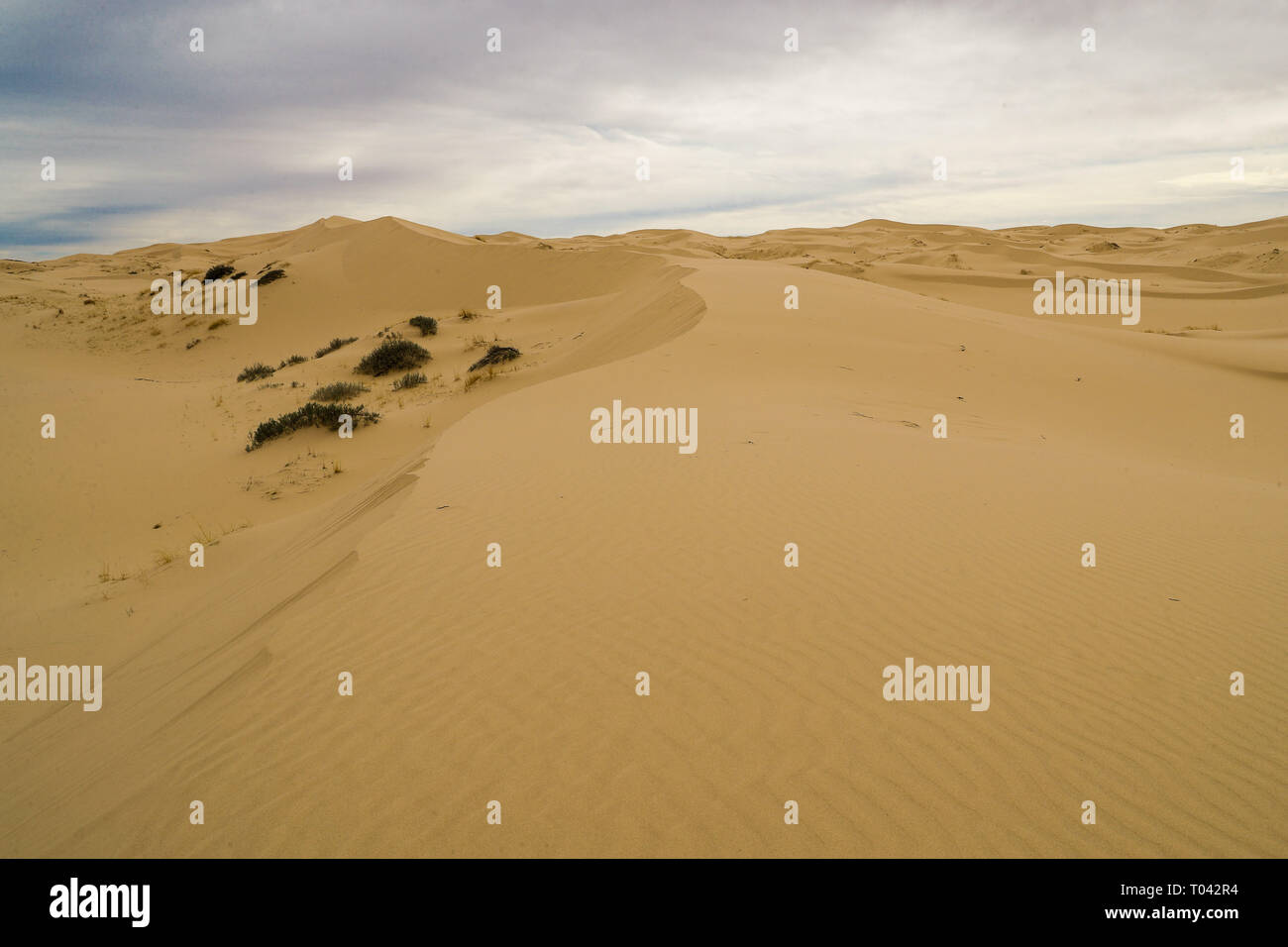 Desierto de samalayuca hi-res stock photography and images - Alamy