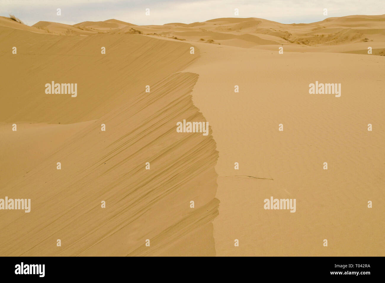 Desierto de samalayuca hi-res stock photography and images - Alamy