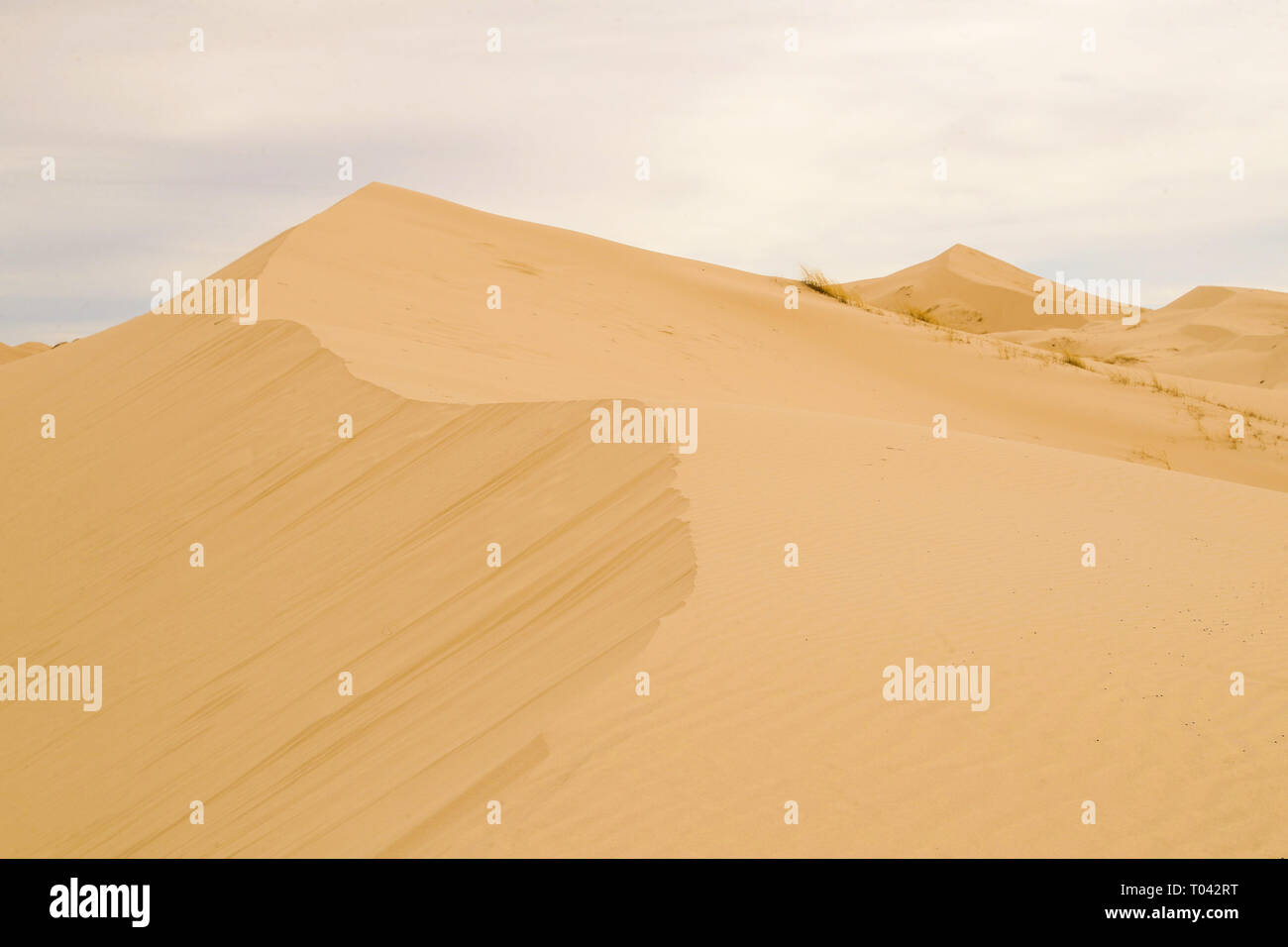 Samalayuca desert hi-res stock photography and images - Alamy