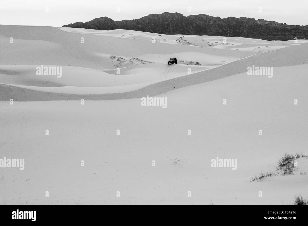 sand dunes of the Samalayuca desert, Chihuahua Mexico. 52 km south of ...