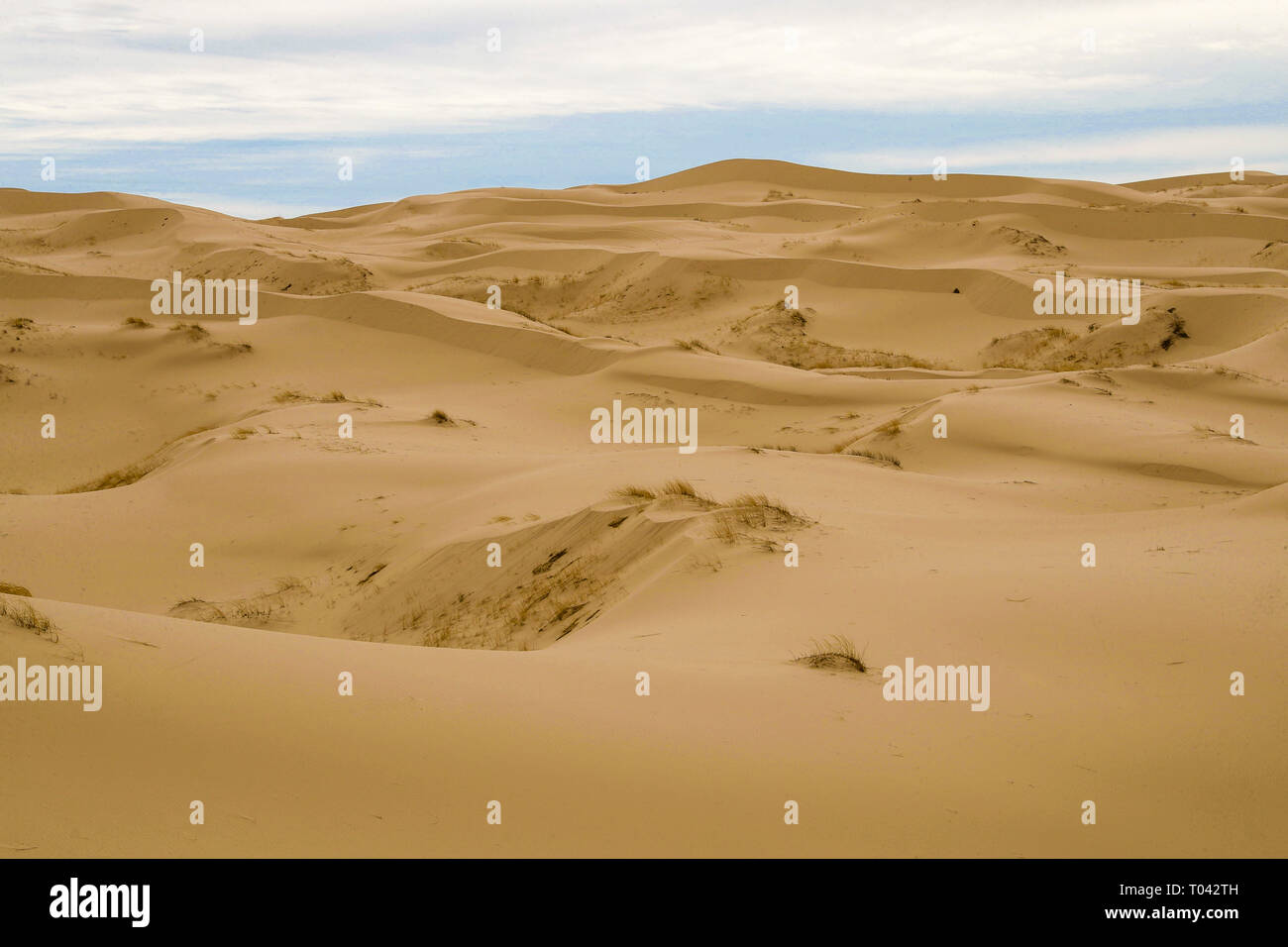 Desierto de samalayuca hi-res stock photography and images - Alamy