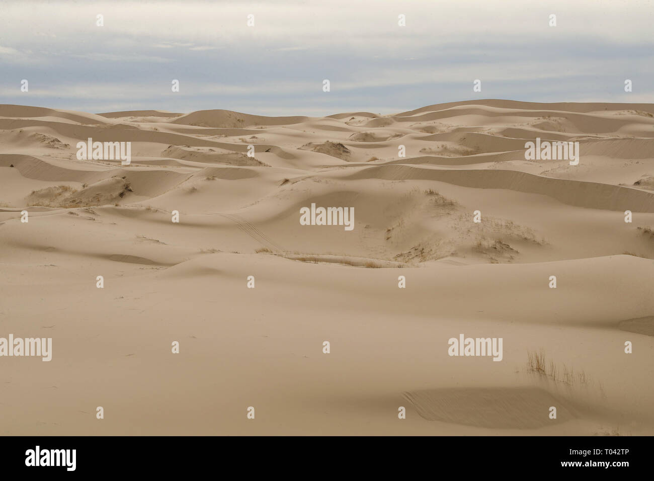 Desierto de samalayuca hi-res stock photography and images - Alamy